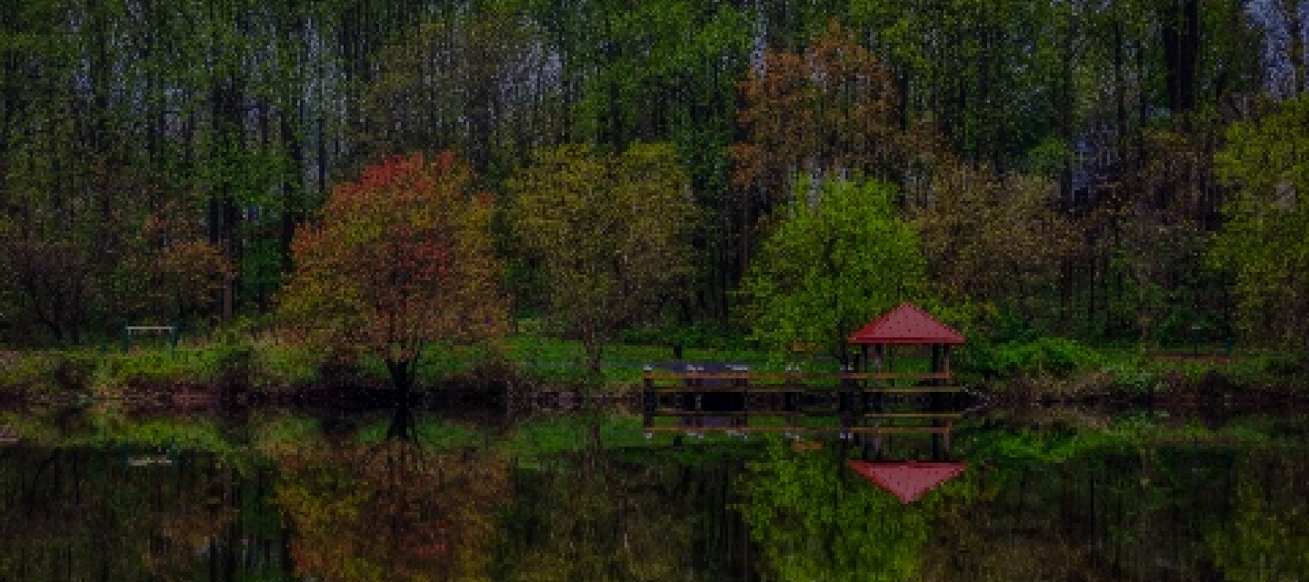 Our Events - Futurewise